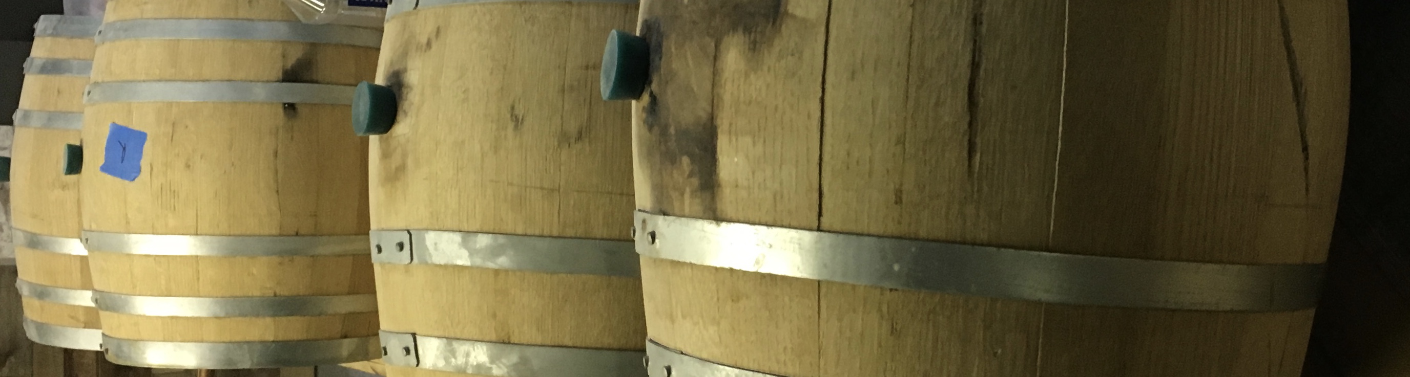 IMG_3161 – GRAY WOLF® SPIRITS